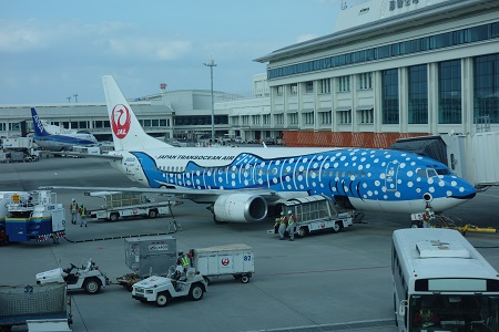 2018年に使えるJAL FOPキャンペーンまとめ。FOP2倍は強烈、マイル修行に最適。 | しーずざでい SFC修行とかマイルとか