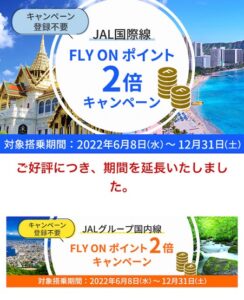 JAL FOPキャンペーン、2022年のFOP 2倍は12月31日まで。JALカード初回5,000も忘れずに！ | しーずざでい SFC修行とかマイルとか
