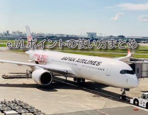 e JALポイントの使い方、キャンペーンまとめ。12月まで100マイル交換で延長可！ | しーずざでい SFC修行とかマイルとか