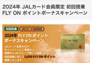 2024年JAL FOPキャンペーンまとめ。 国際線ニューヨークとダラスで2倍実施。 | しーずざでい SFC修行とかマイルとか